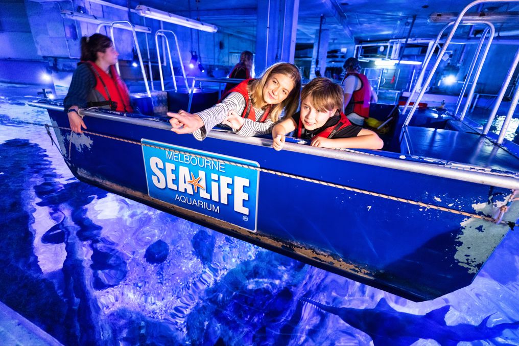 Venture behind the scenes at the Aquarium with the whole family at SEA ...