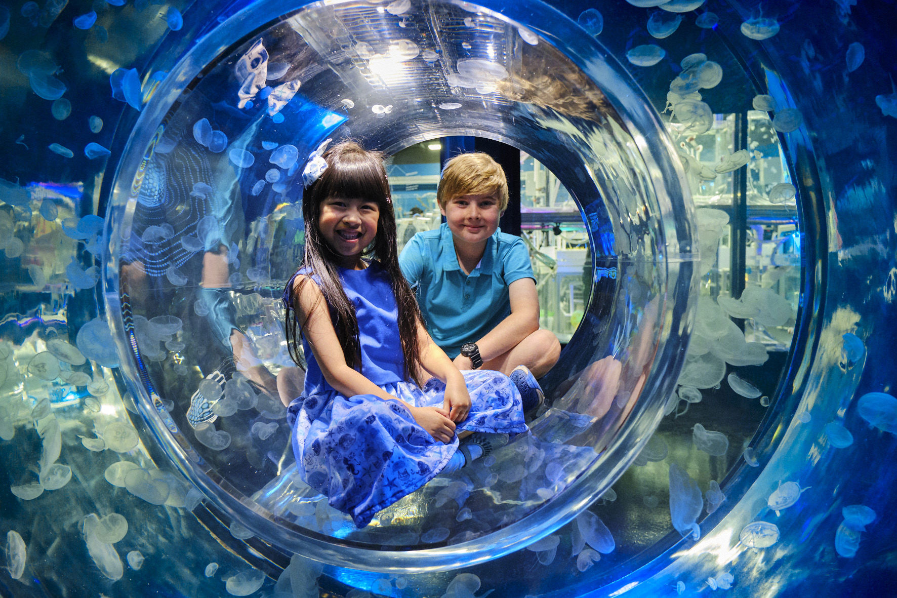 Dive Into An Underwater World Full Of Colour This School Holidays at ...